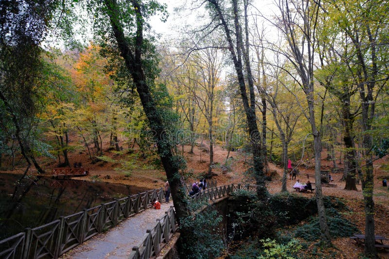 Belgrad Forest, Ä°stanbul Turkey Editorial Photography - Image of ...