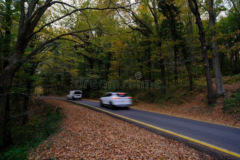 Belgrad Forest, Ä°stanbul Turkey Stock Image - Image of istanbul ...