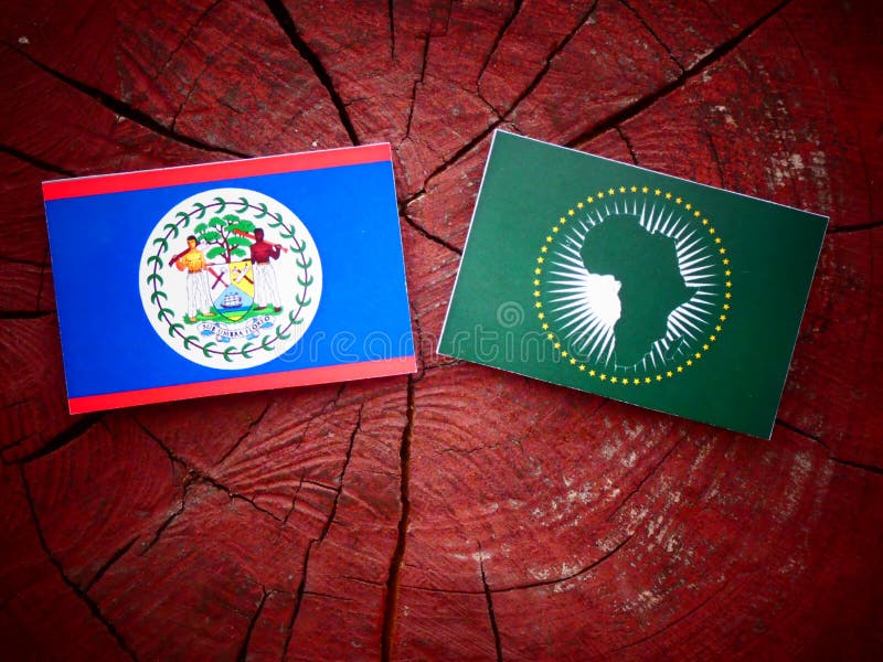 Belize Flag with African Union Flag on a Tree Stump Stock Photo - Image ...