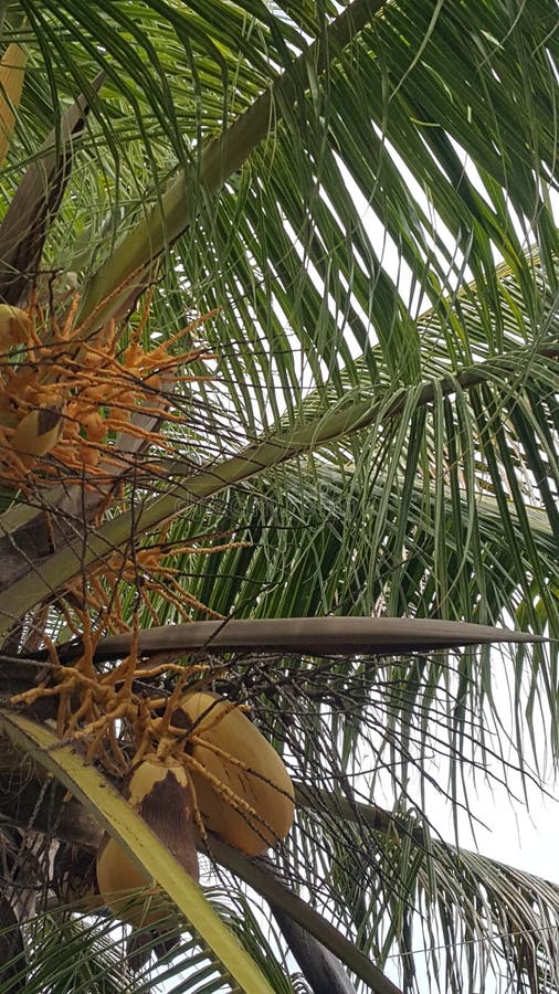 Kenneth Barrow Stock Photos - Free & Royalty-Free Stock Photos from ...