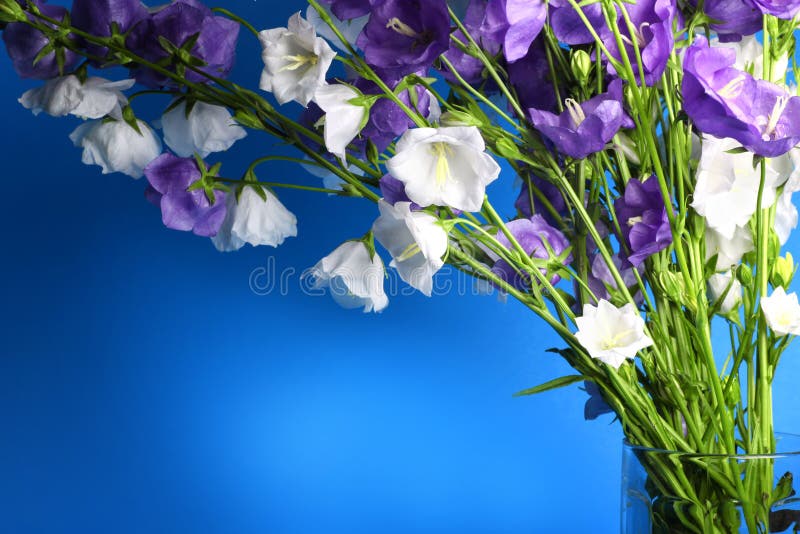 Bell on blue background stock image. Image of macro, frame - 15374777