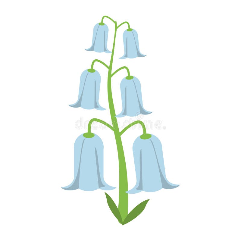 Bell flowers flora botany stock vector. Illustration of leaf - 86279062