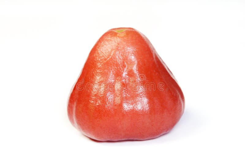 Bell fruit stock photo. Image of tropical, isolated, water - 18030166