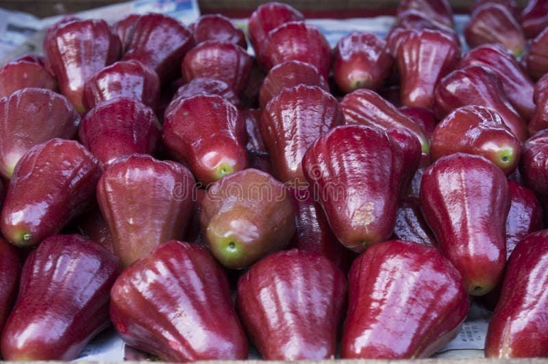 Bell fruits close up shot stock photo. Image of group - 33193212