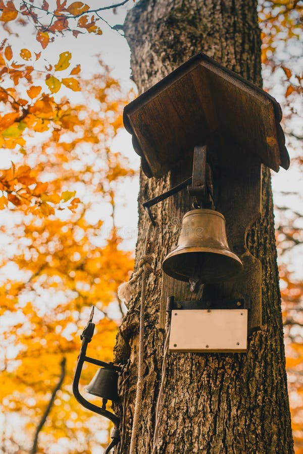 Bell Mounted on a Tree Trunk for Hikers To Ring. White Empty Signboard ...