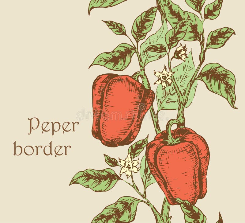 Vegetable Borders Stock Illustrations – 302 Vegetable Borders Stock ...