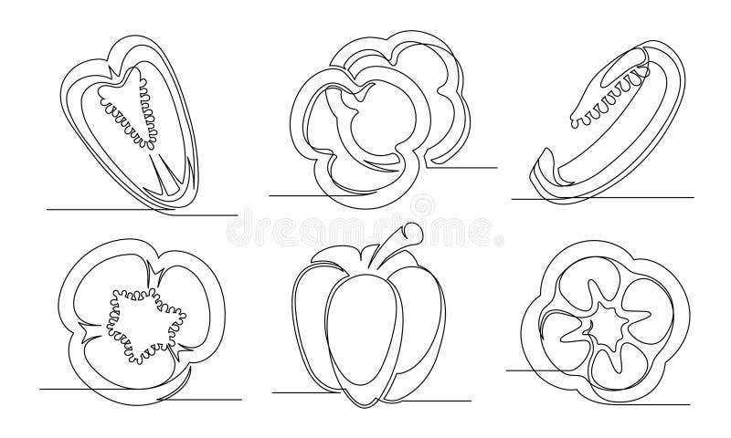 Bell Pepper Continuous One Line Drawing Set Stock Illustration ...