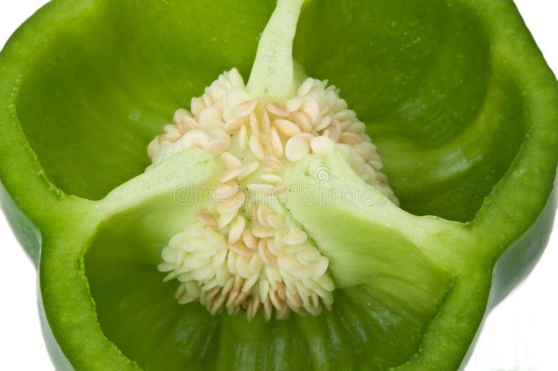 Bell pepper cross section. stock photo. Image of sweet - 16937768