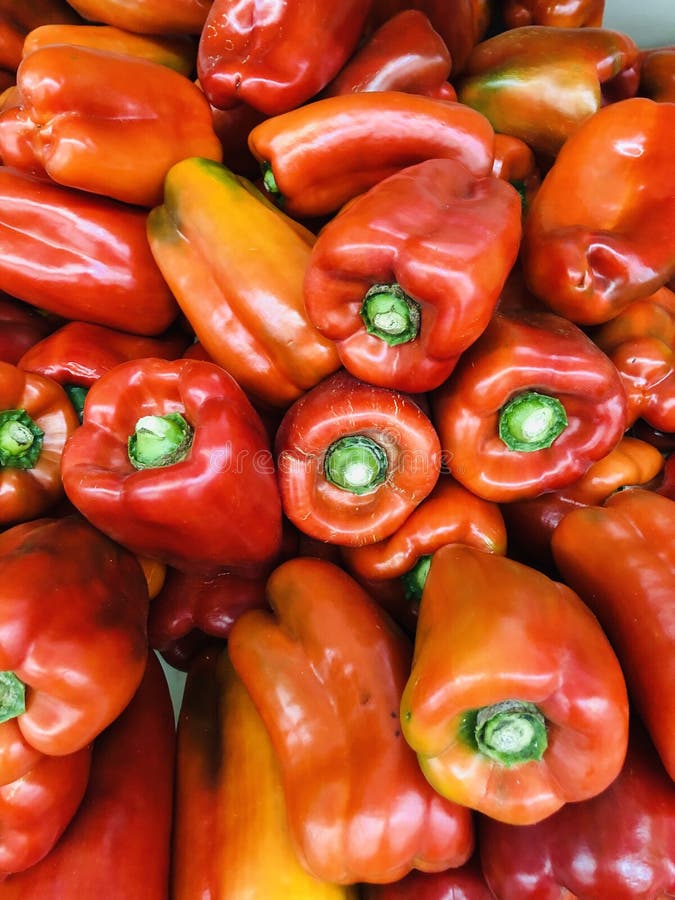 Bell Pepper stock photo. Image of bell, pepper, fresh - 154629862