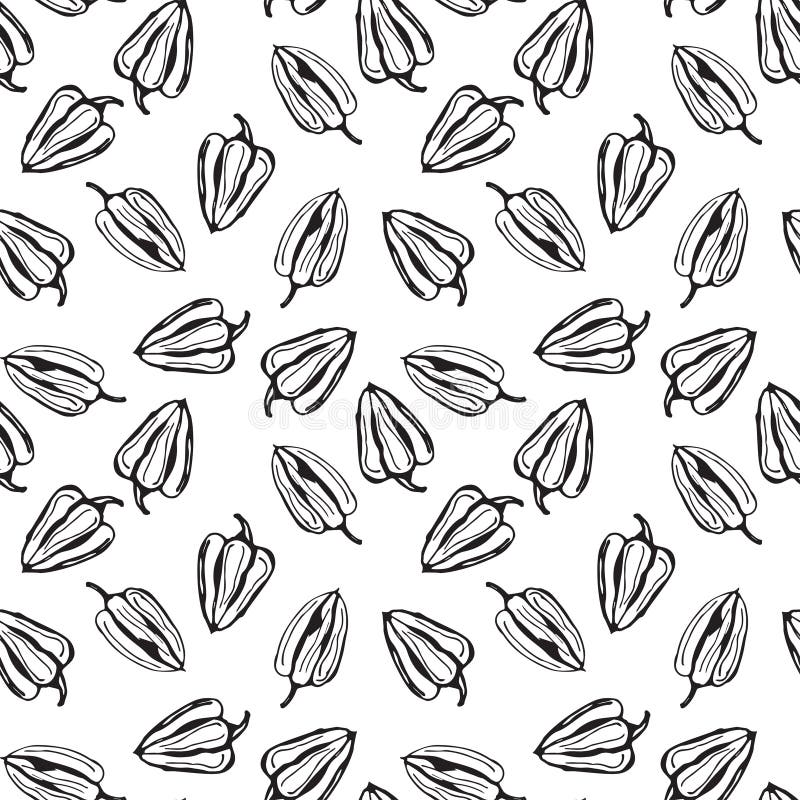 Bell Pepper Vector Seamless Pattern. White Background with Bell Pepper ...