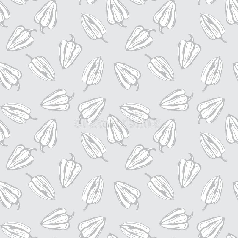 Bell Pepper Vector Seamless Pattern. White Pepper with Grey Contour on ...