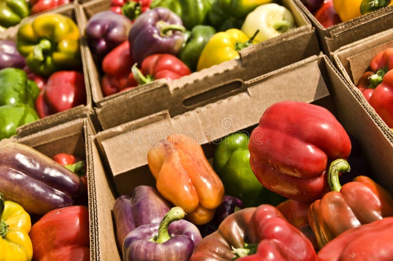 Bell peppers stock image. Image of market, diet, freshness - 10755357