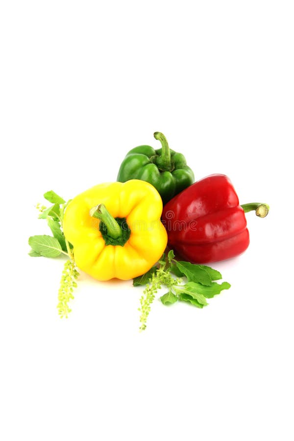 A Bell Peppers Three Colors. Stock Photo - Image of macro, capsicum ...