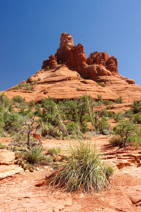 Bell Rock in Sedona, Arizona Stock Image - Image of terrain, southwest ...