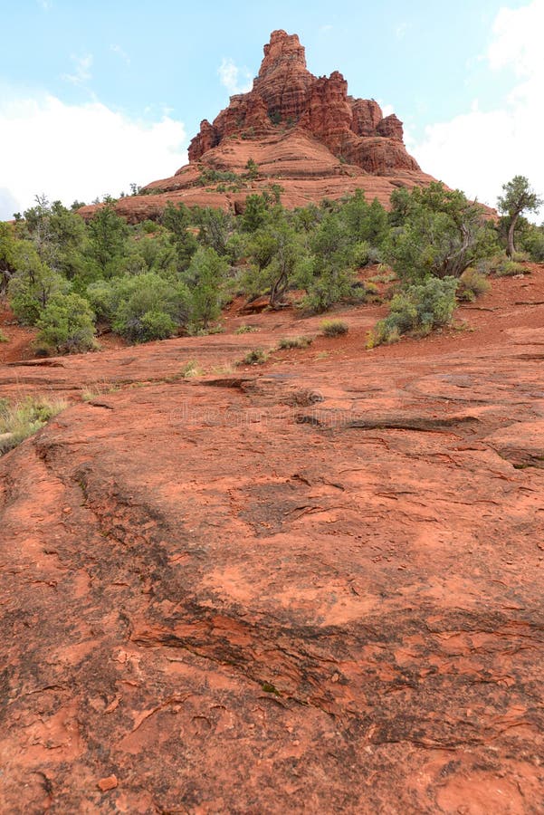 Bell Rock Vortex in Sedona and Dead Cypress Tree Stock Photo - Image of ...