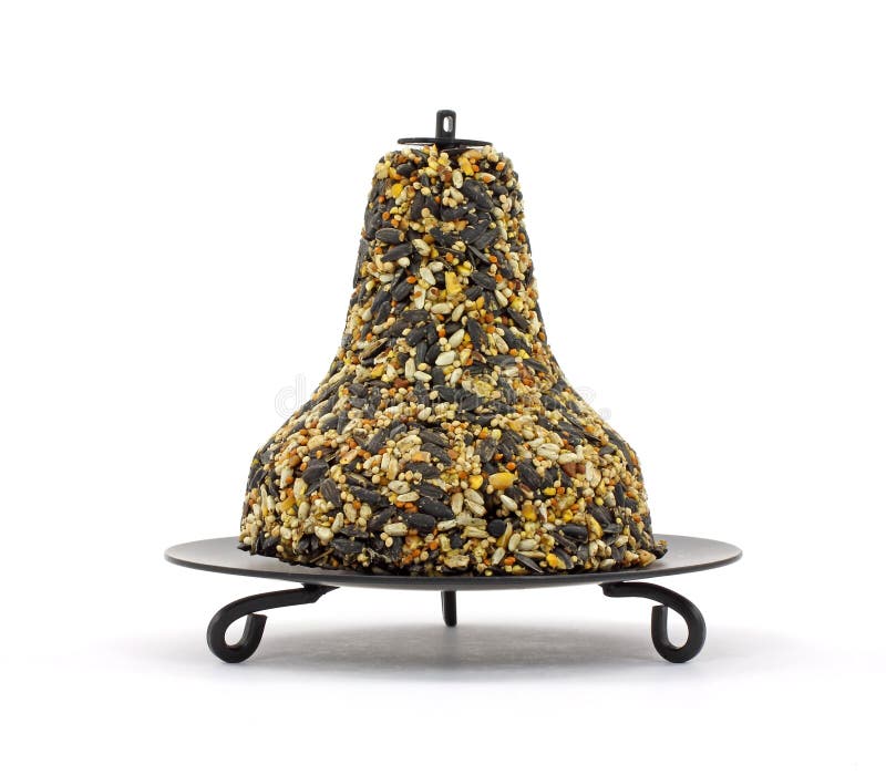 Bird food stock photo. Image of feeding, hungry, fauna - 3943150