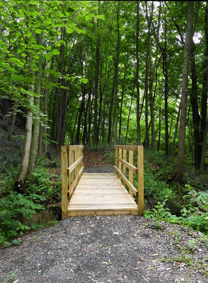 Bell Station Trail Bridge on Cayuga Lake Nature Preserve Stock Image ...