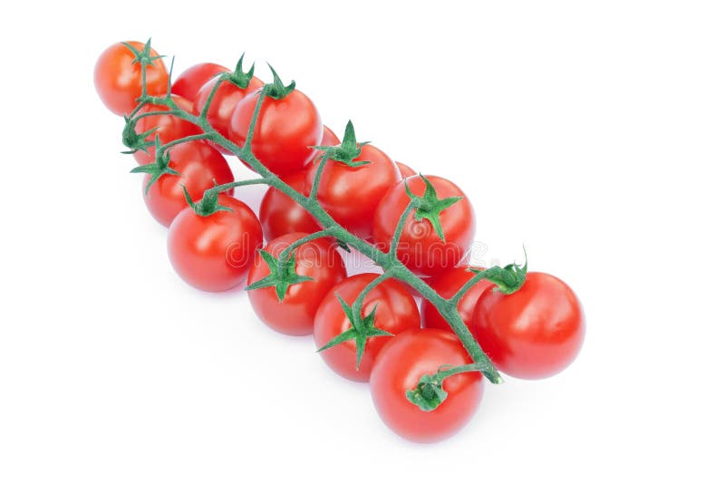 Bell tomatoes on the vine stock image. Image of nature - 39687253