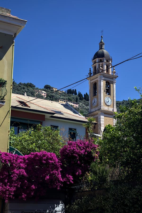 Bell Tower Framed by a Building and Trees on a Clear Day Stock Photo ...