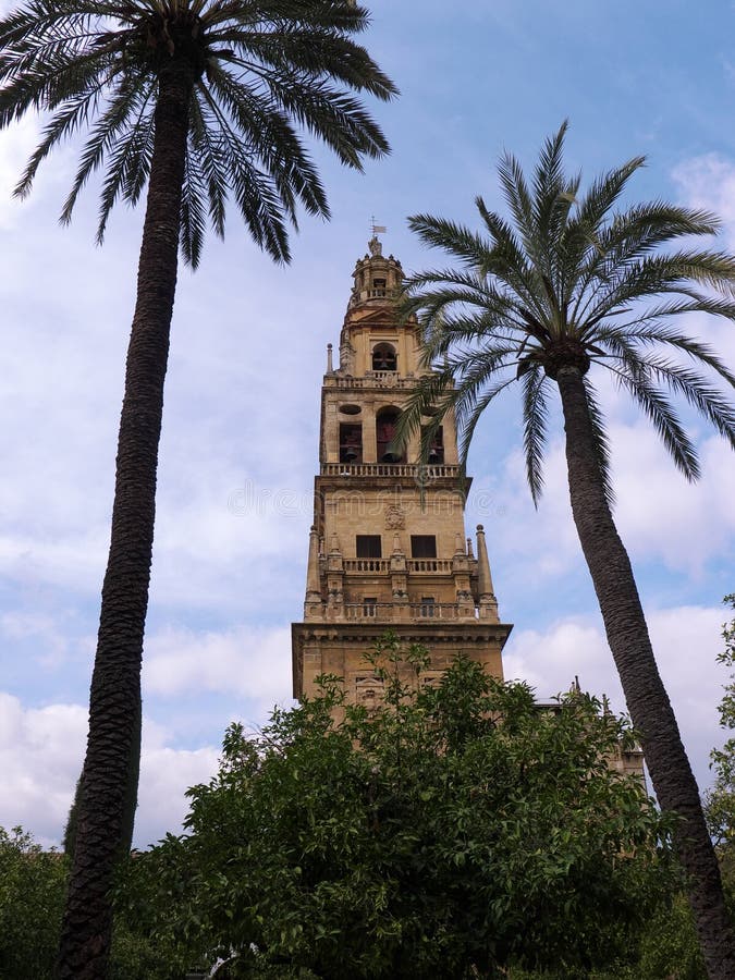 Tower and palm trees stock image. Image of tall, bell - 238500949
