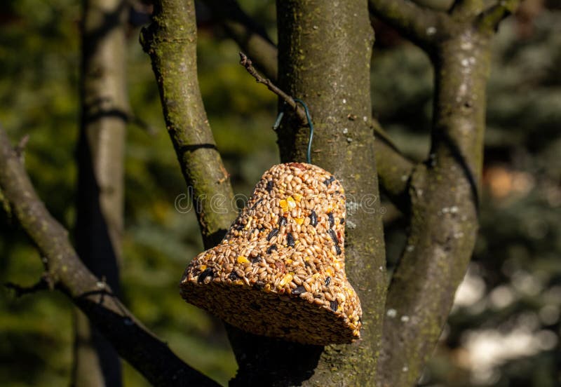 Bell from Various Grains, a Delicacy for All the Birds in the Garden ...