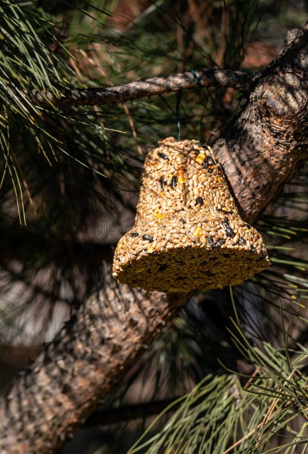 Bell from Various Grains, a Delicacy for All the Birds in the Garden ...
