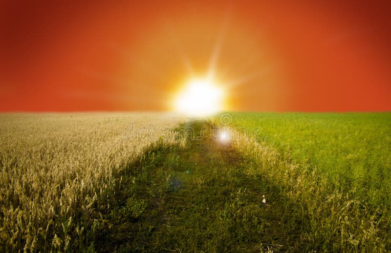 Bella alba immagine stock. Immagine di eccellente, alba - 17039367