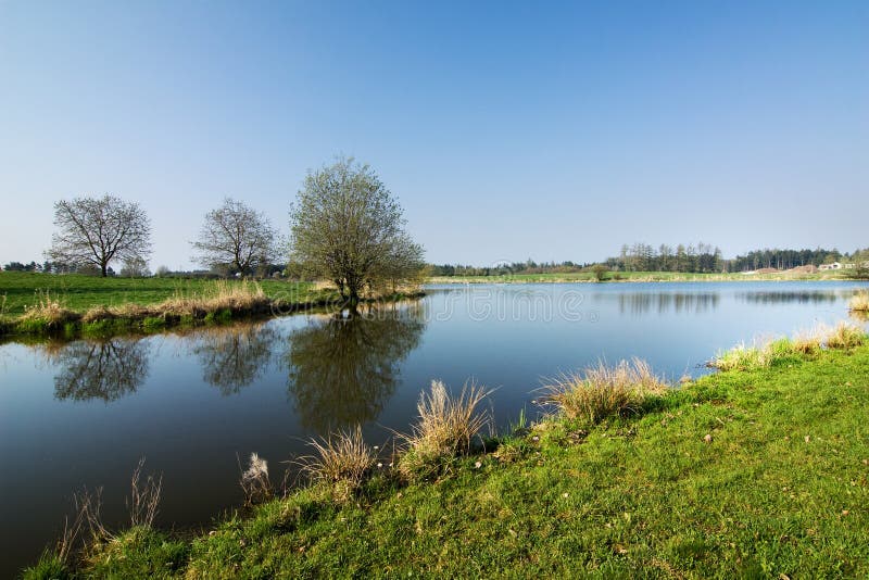 Bella Campagna Della Sorgente Con Lo Stagno Fotografia Stock - Immagine ...