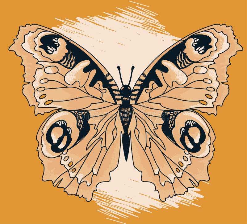 Bella Farfalla, Stile Di Schizzo Illustrazione Vettoriale ...