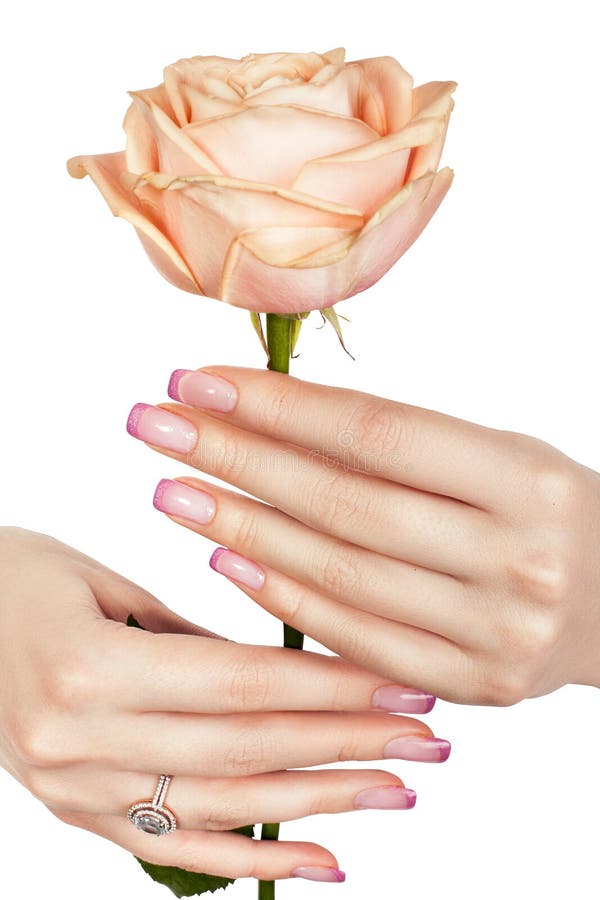 Bella Mano Che Tiene Una Rosa. Fotografia Stock - Immagine di femmina ...