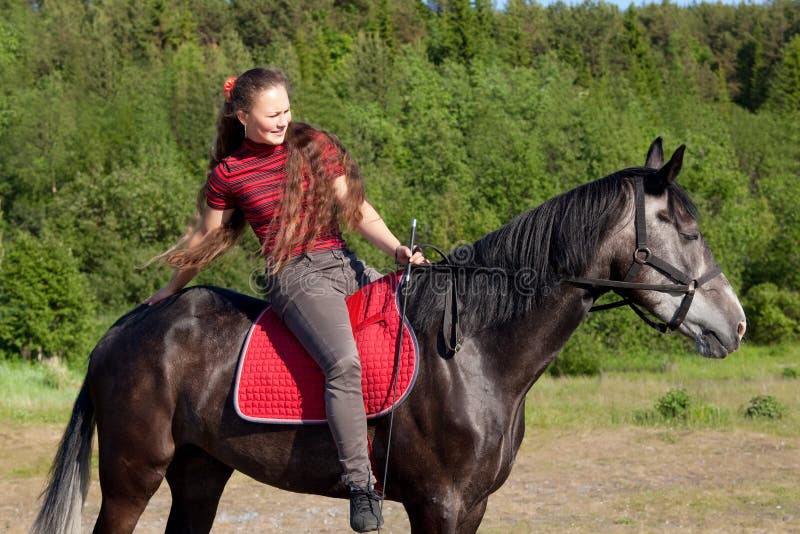 Bella Ragazza Sul Cavallo Nero Fotografia Stock - Immagine di sella ...