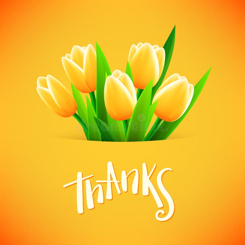Merci Avec Des Fleurs De Tulipe Illustration de Vecteur - Illustration ...