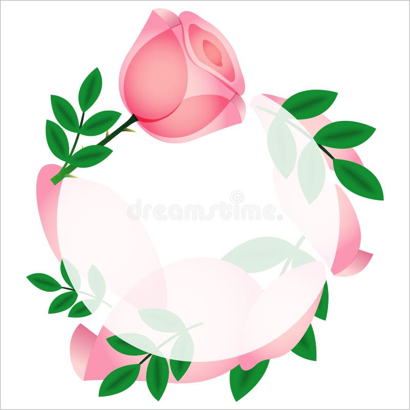 Belle Carte De Rose De Rose, Illustration Stock - Illustration du blanc ...