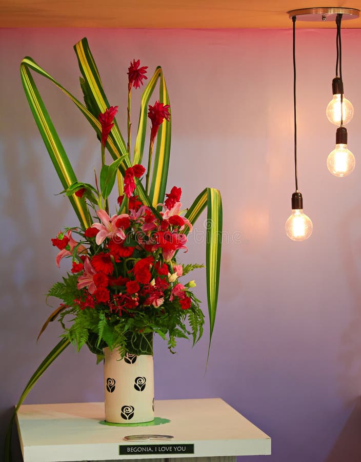 Belle Composition Florale Mise En Pot Photo stock - Image du vase ...