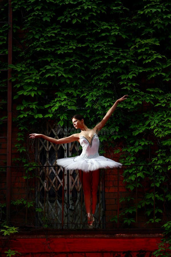 Belle Danse De Ballet De Danse De Ballerine Image stock - Image du ...
