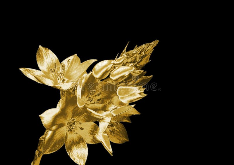 Belle fleur d'or illustration stock. Illustration du fermer - 96009143