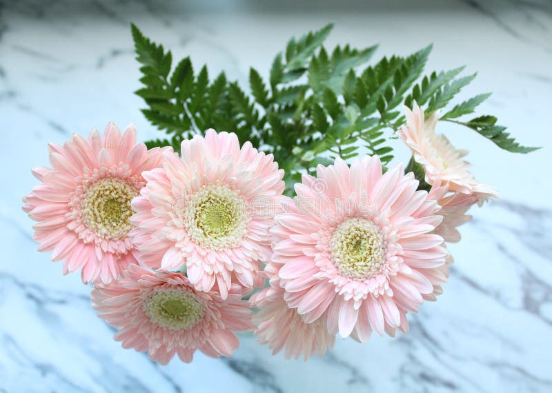 Grande Mazzo Con Molti Rosso, Rosa E Gerbere Gialle Con La Bella ...