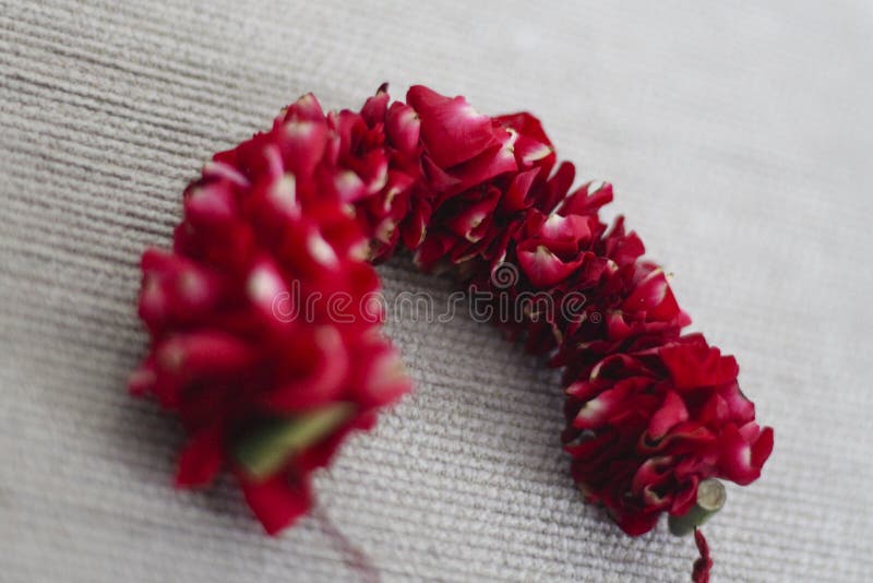 Belle Guirlande De Fleur De Rose De Rouge Image stock - Image du ...