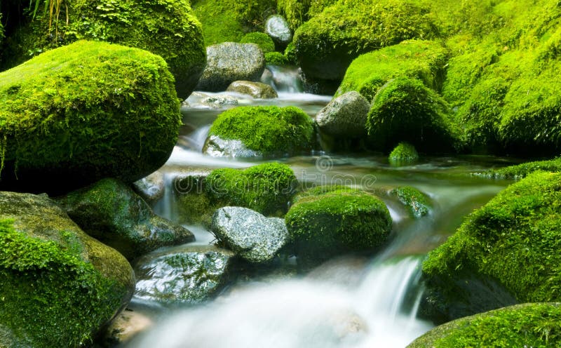 Belle Image De Cascade De Cascade Naturelle Image stock - Image du ...