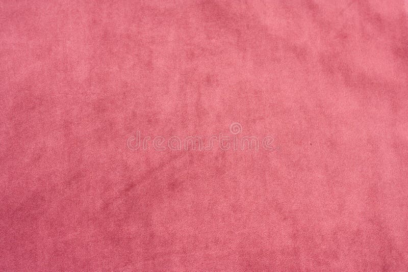 Belle texture rose photo stock. Image du bleu, folié - 18277192