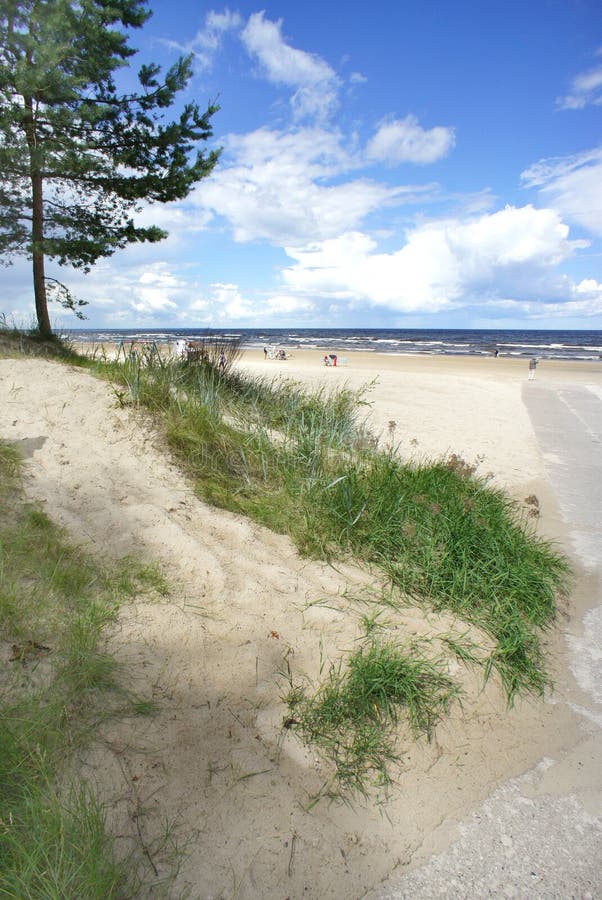 Belles Plages De Mer Baltique Image stock - Image du letton, seaside ...