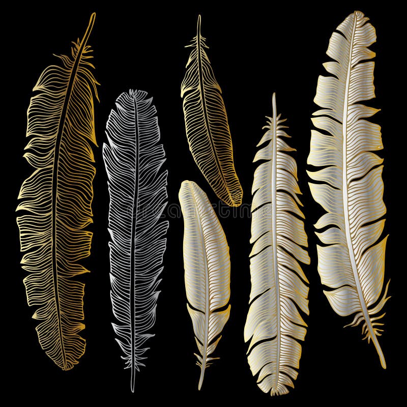 Belles plumes de vintage illustration de vecteur. Illustration du ...