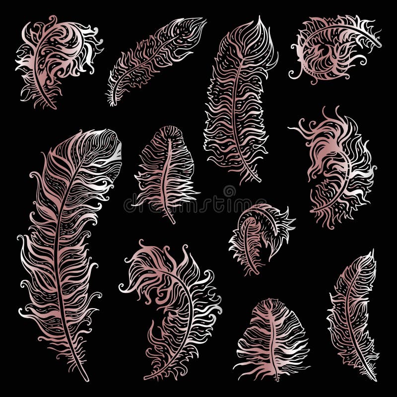 Belles plumes de vintage illustration de vecteur. Illustration du ...