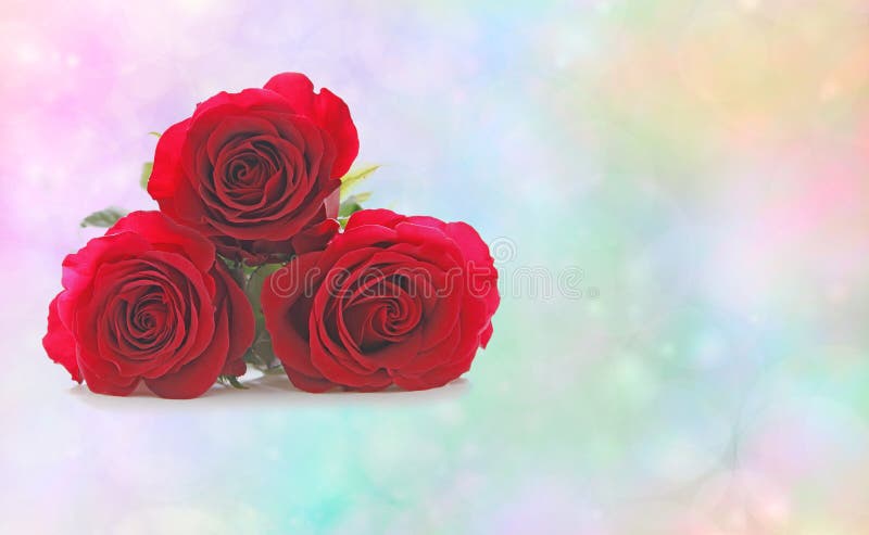 Trois Roses Rouges Sur Le Fond De Parchemin Photo stock - Image du ...