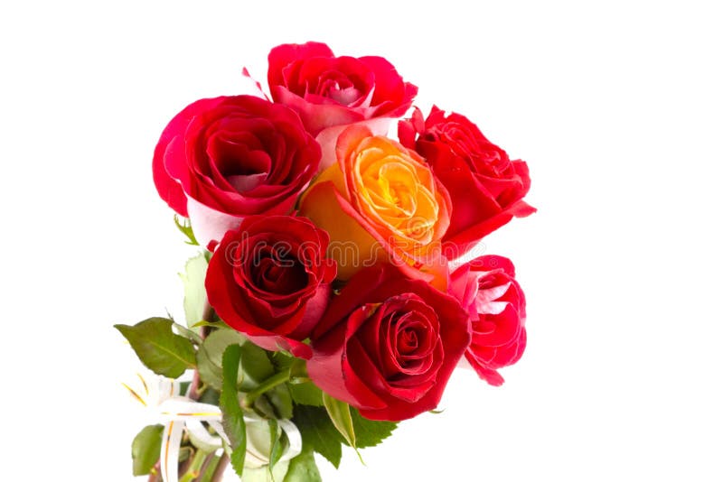 De Magnifiques Roses Rouges Image stock - Image du anniversaire ...