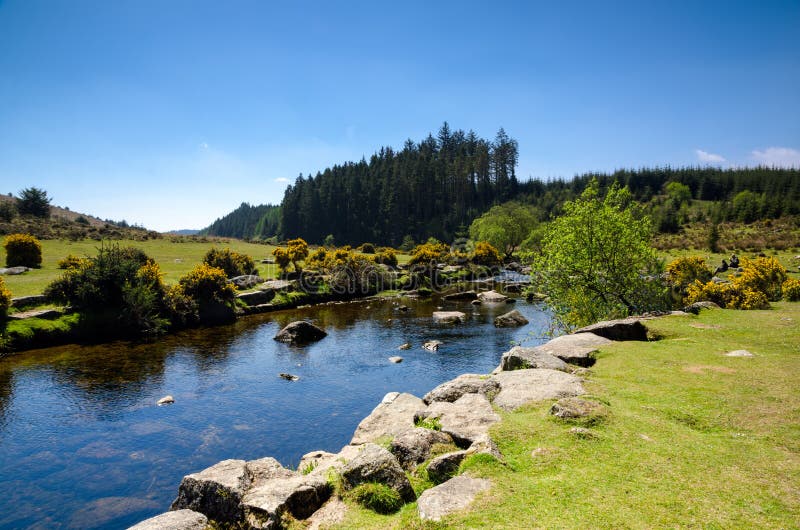 Bellever Forest and Dart River Auf Nationalpark Dartmoor in Devo ...