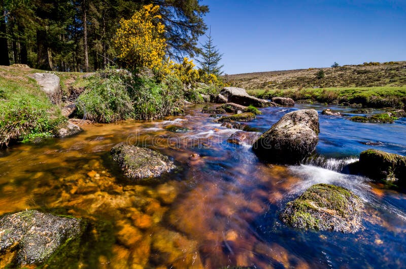 Bellever Forest and Dart River on Dartmoor National Park in Devo Stock ...