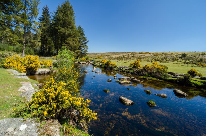 Bellever Forest and Dart River on Dartmoor National Park in Devo Stock ...