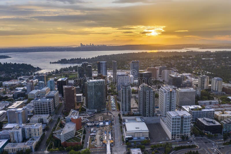 Drone Shot Above the Trees in Washington State Stock Photo - Image of ...