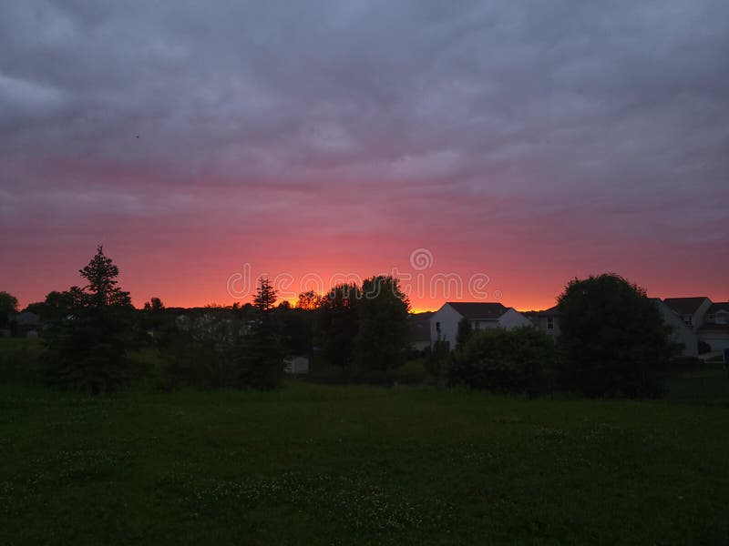 Nebraska Sunset in the Corn Field Stock Photo - Image of tassels ...